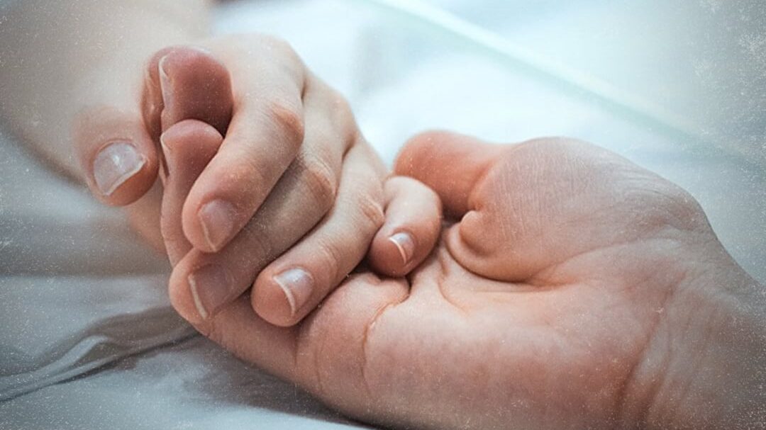 Quality Care and Robust Regulations Should Accompany the Introduction ...
